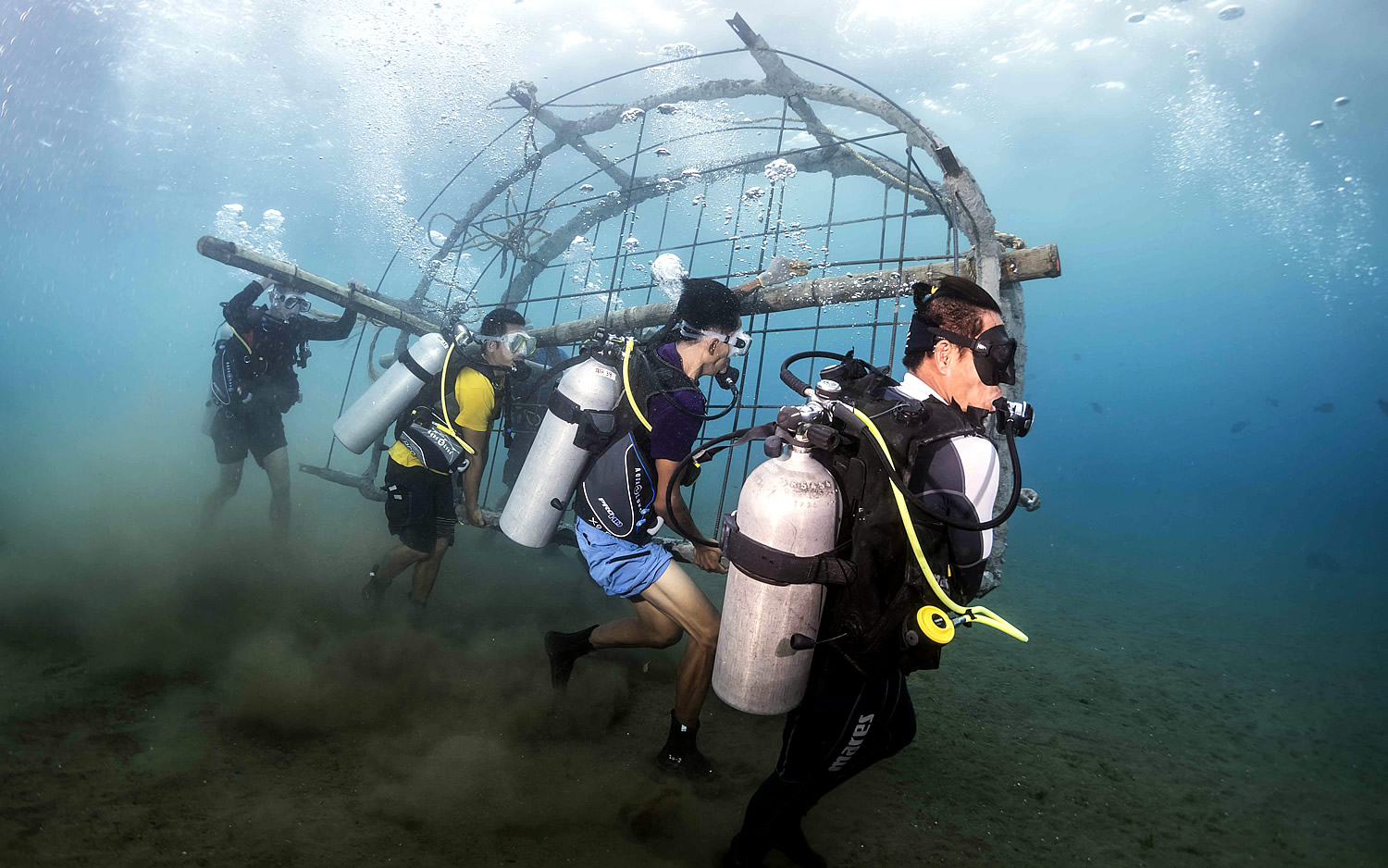 Reef Conservation Project
